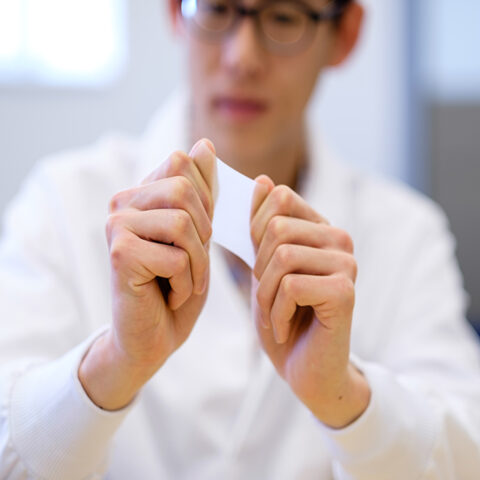 Tissue Engineering and Regenerative Medicine Solutions Company | Secant ...